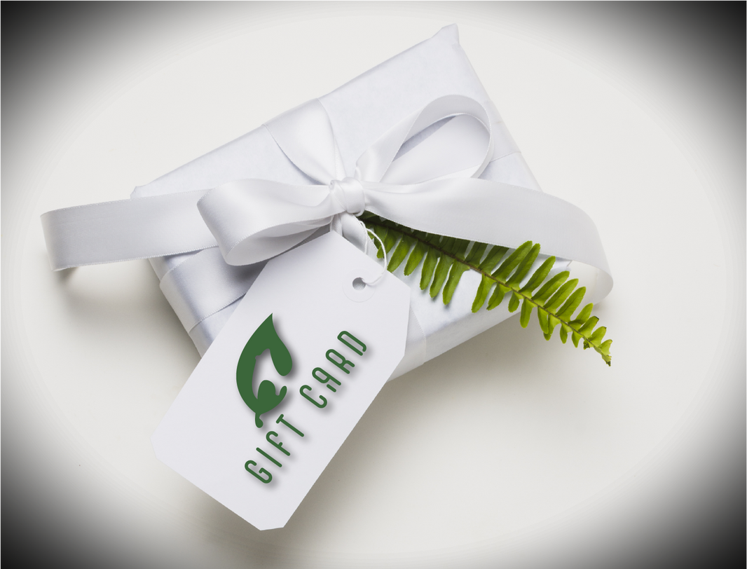 Gift Card – Hobby Jungle